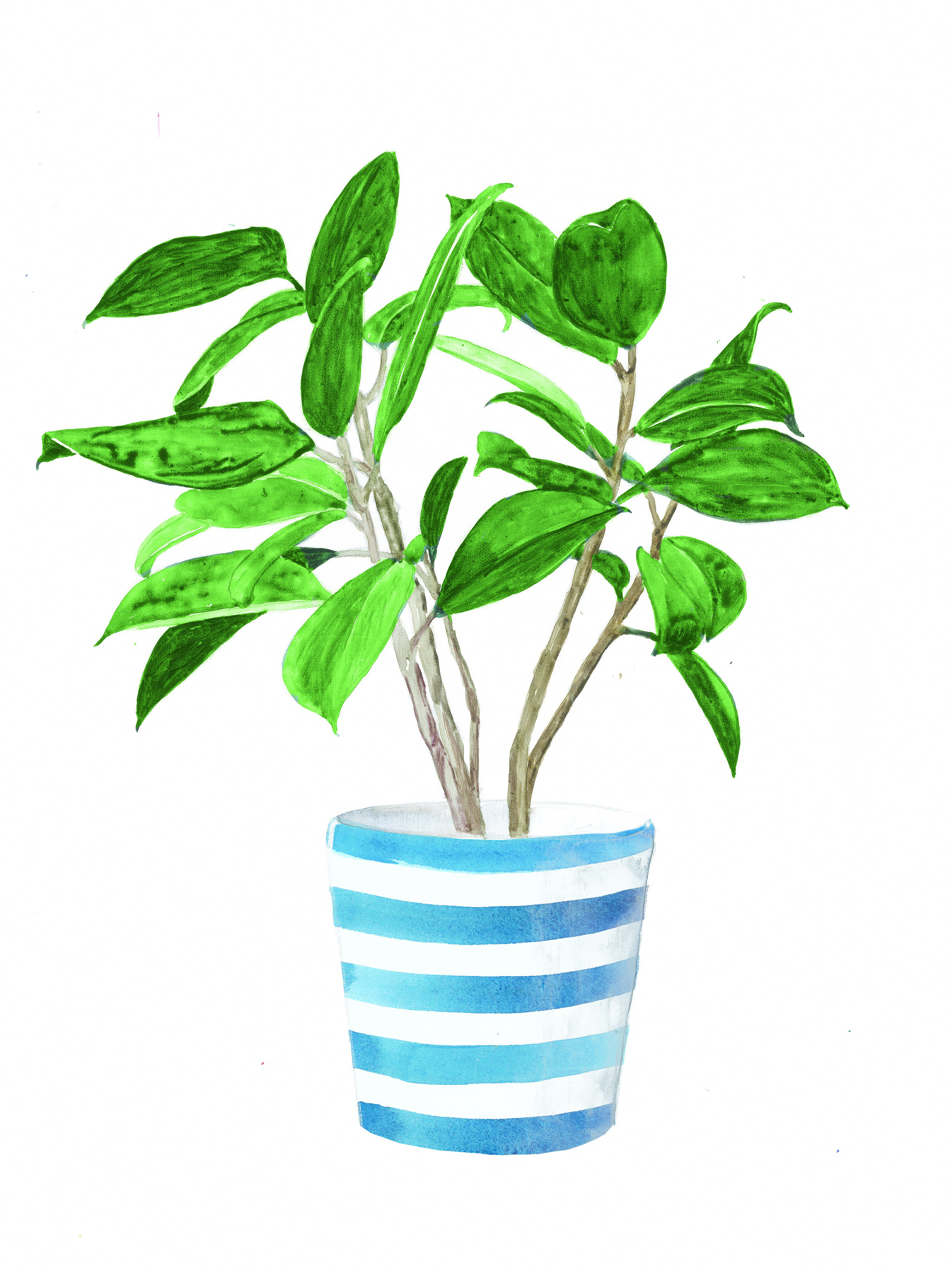 Winston Porter Plant Striped Pattern Pot - Wrapped Canvas Print | Wayfair