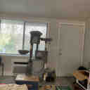 Archie & Oscar™ Timmins 78.3" Multi-Level Cat Tree with Cat Scratching ...