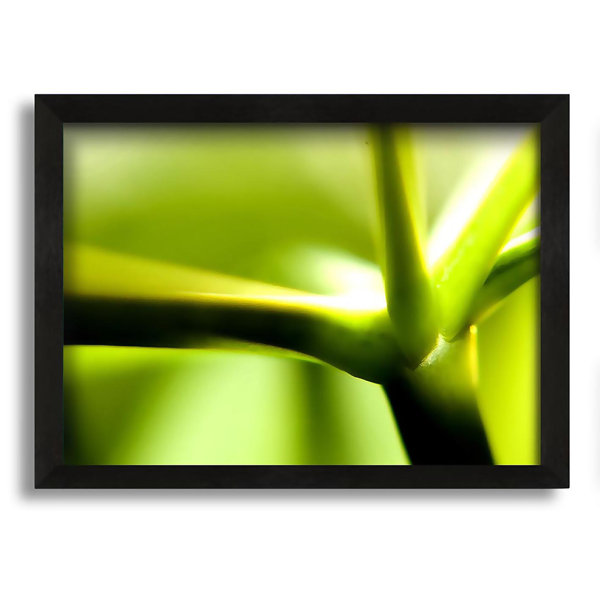Ebern Designs Green Stem - Print on Canvas | Wayfair.co.uk