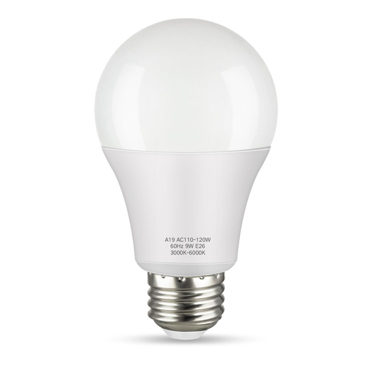 OUTON 9 Watt E26/Medium (Standard) Dimmable Bulb | Wayfair