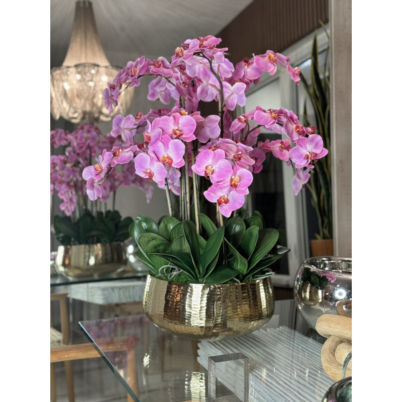 CFA Design Group Roberi Orchid Arrangement in Planter | Wayfair