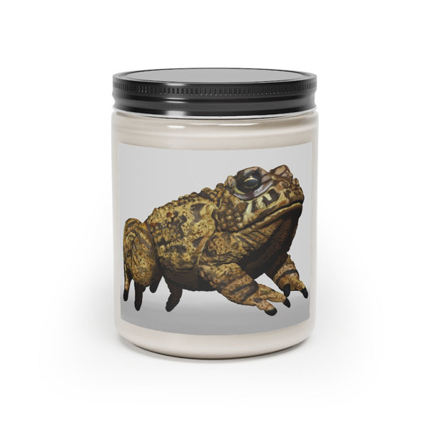 Bless international Toad Scented Candle, 9Oz | Wayfair