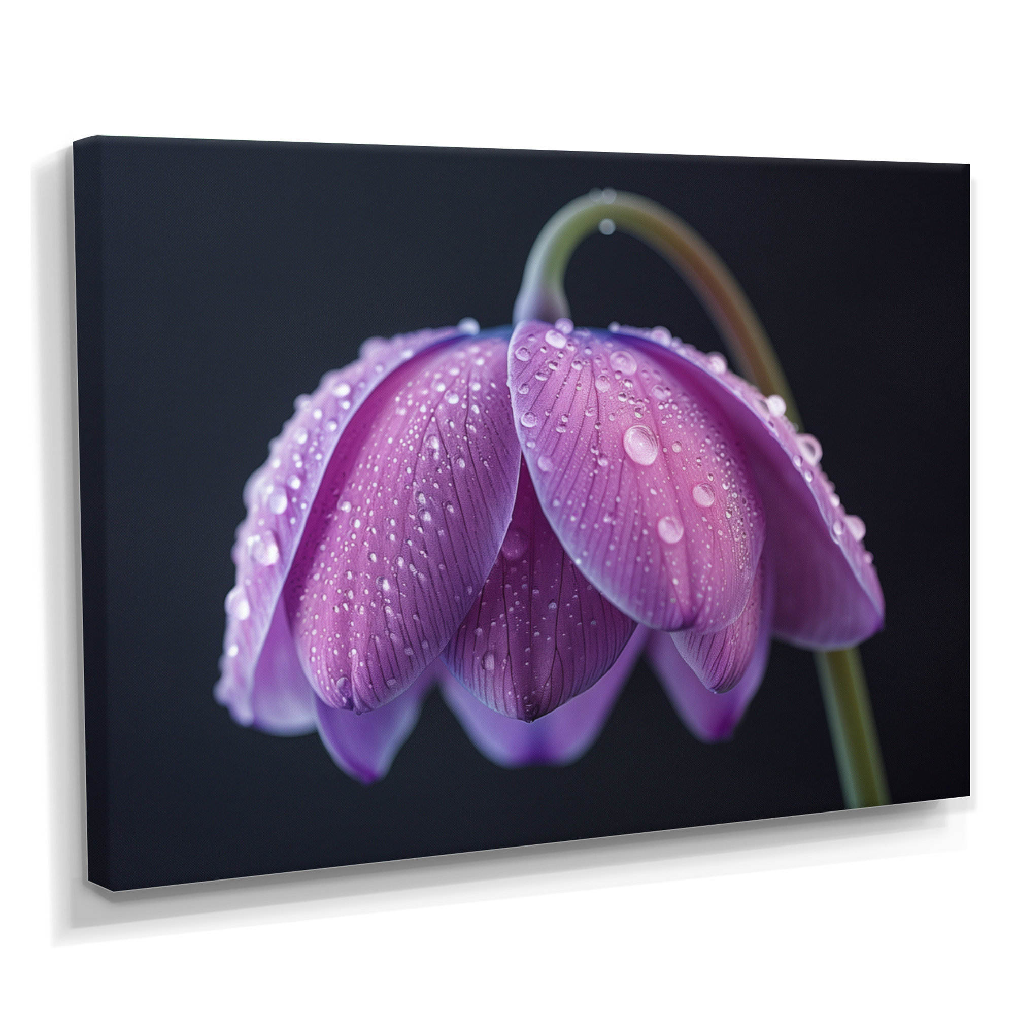 Ebern Designs Black And Purple Snowdrop Flowers At Night II - Snowdrops ...