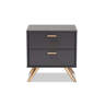 George Oliver Caden Sheldon Dark Grey And Gold Finished Wood 2-Drawer ...