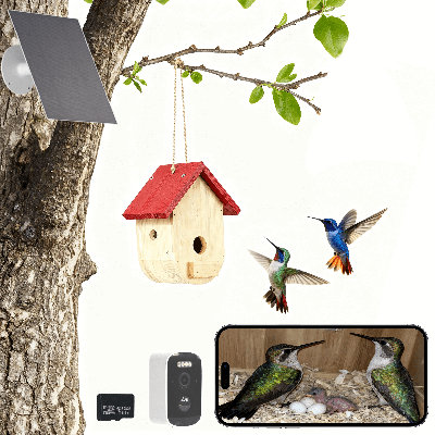 smart squirrel box