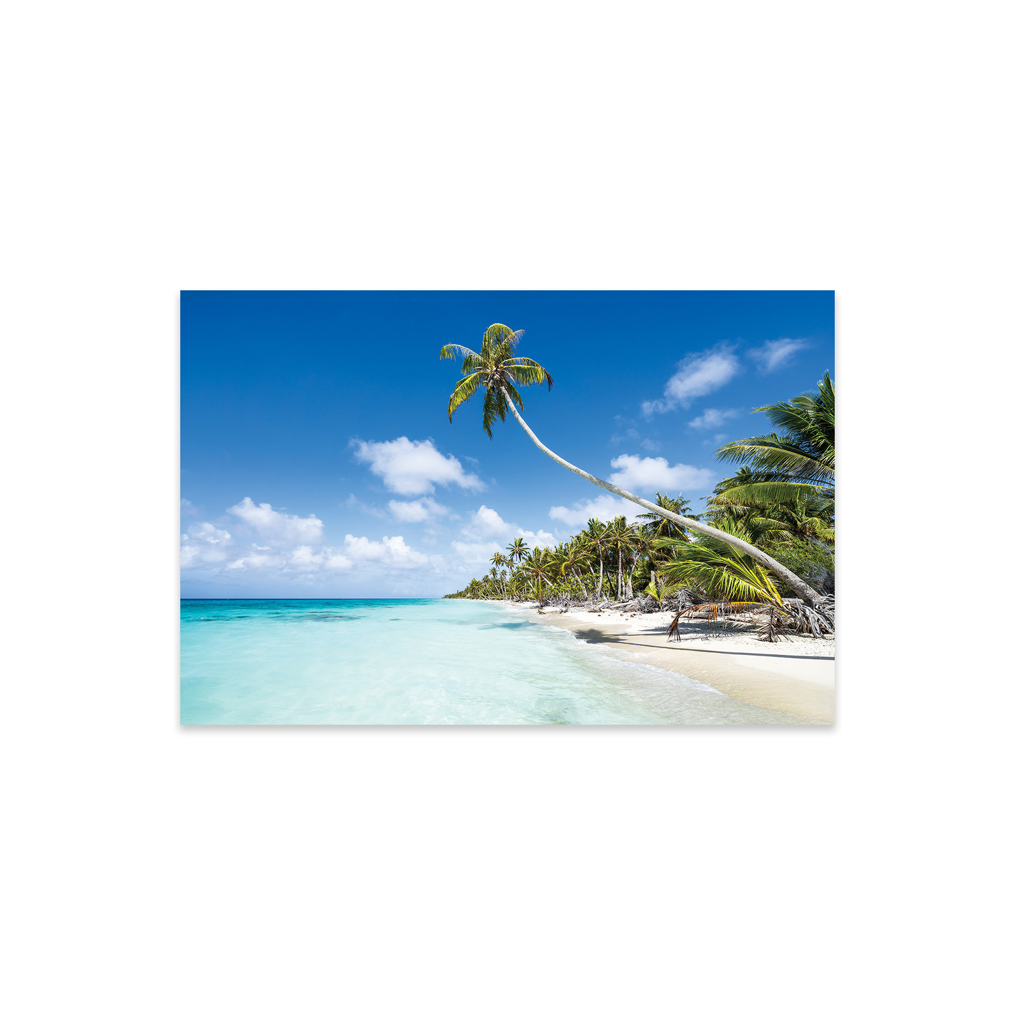 Highland Dunes Tropical Beach On Fakarava, French Polynesia Print On ...