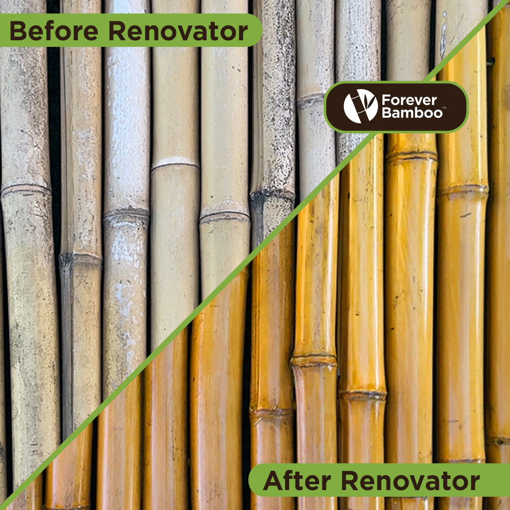 Forever Bamboo Renovator Exclusive Formula, Water-based, Eco-friendly ...