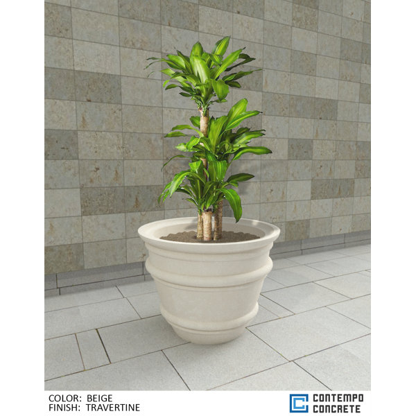 Los Angeles Cast Stone Mela Planter | Wayfair