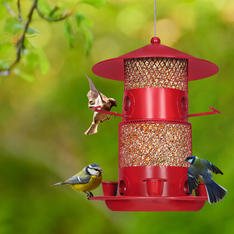Arlmont & Co. Rithish Metal Hanging Hopper Bird Feeder & Reviews | Wayfair