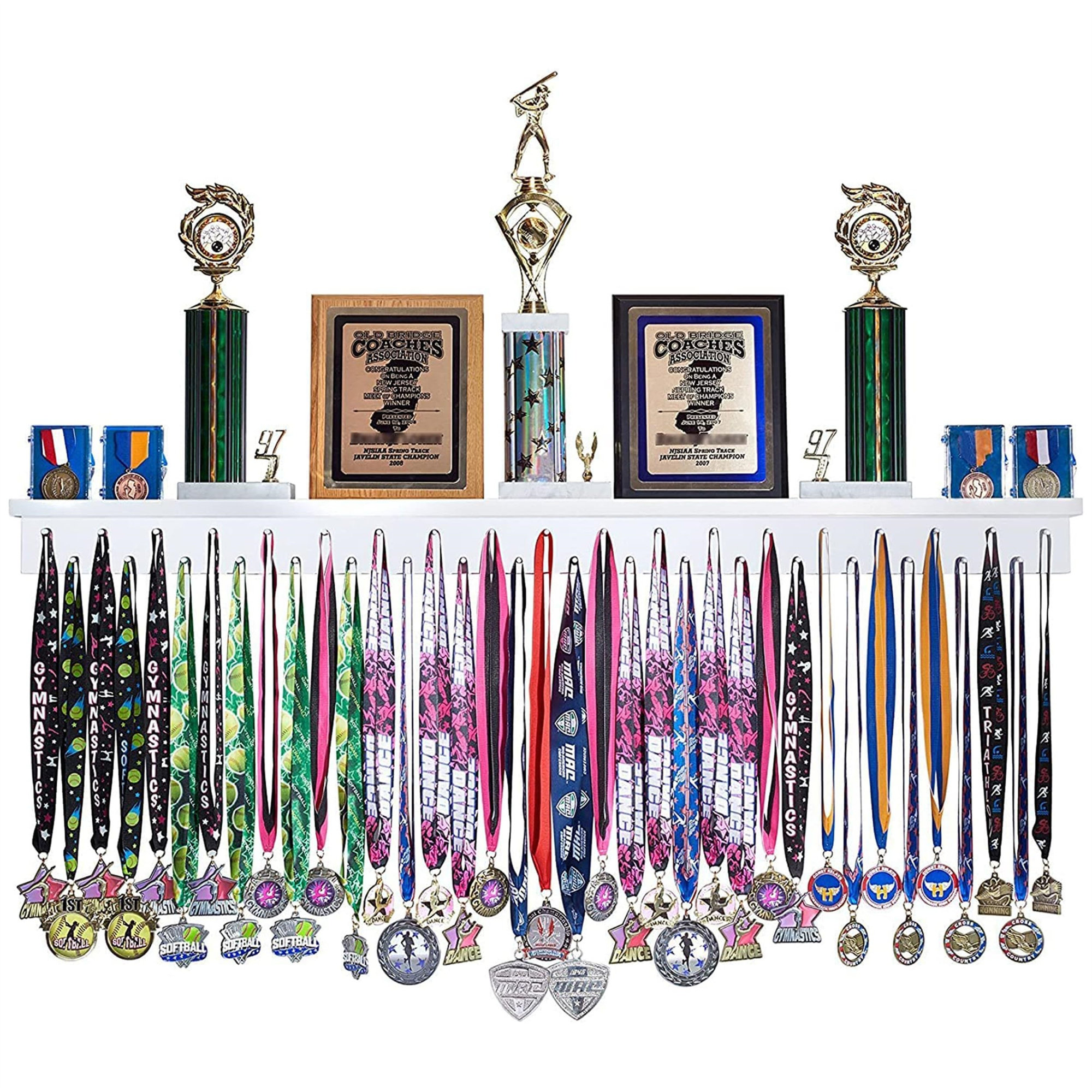 Rebrilliant Medal Stand Displays And Trophy Racks | Wayfair
