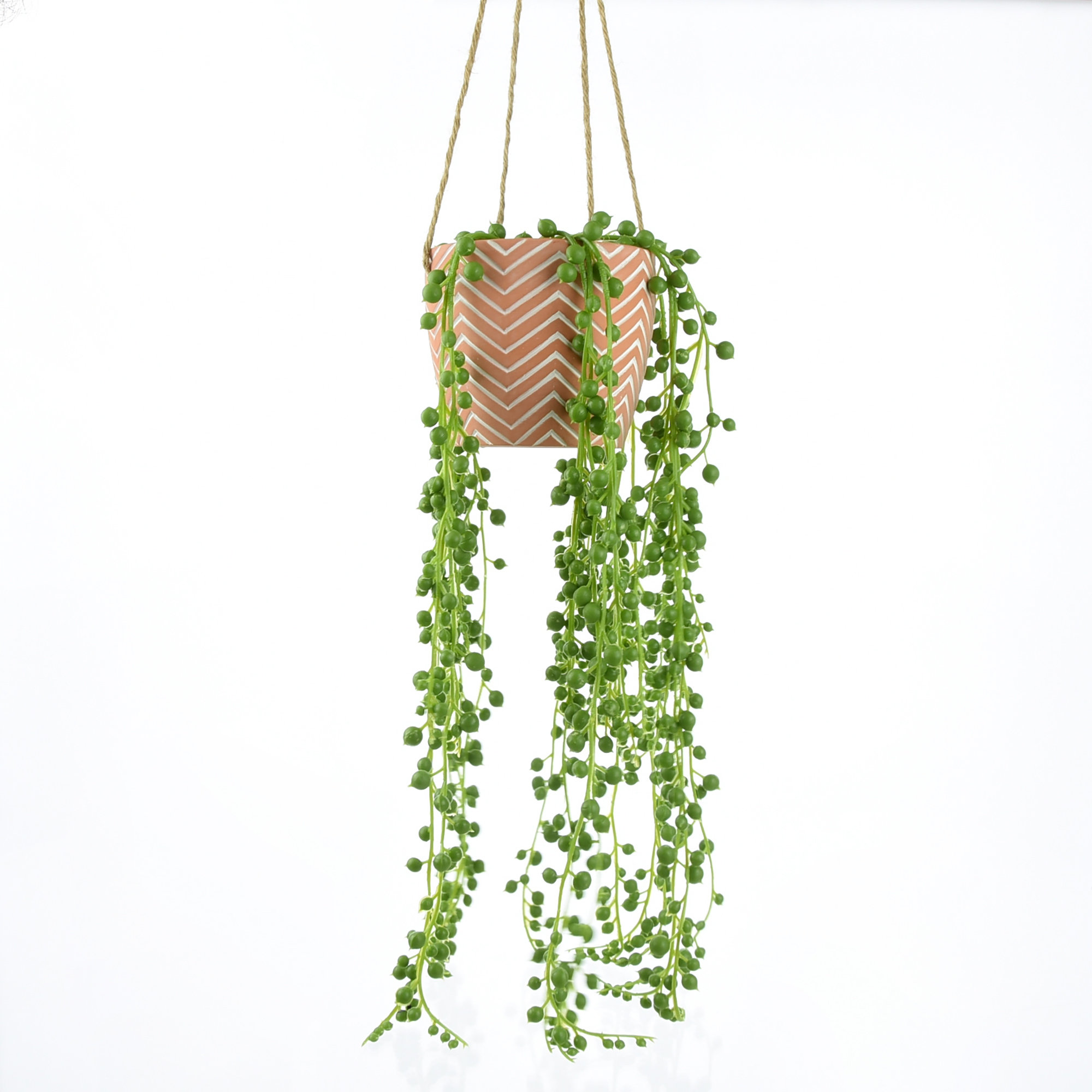 The Seasonal Aisle Trailing Hanging Ivy Plant in Pot | Wayfair.co.uk