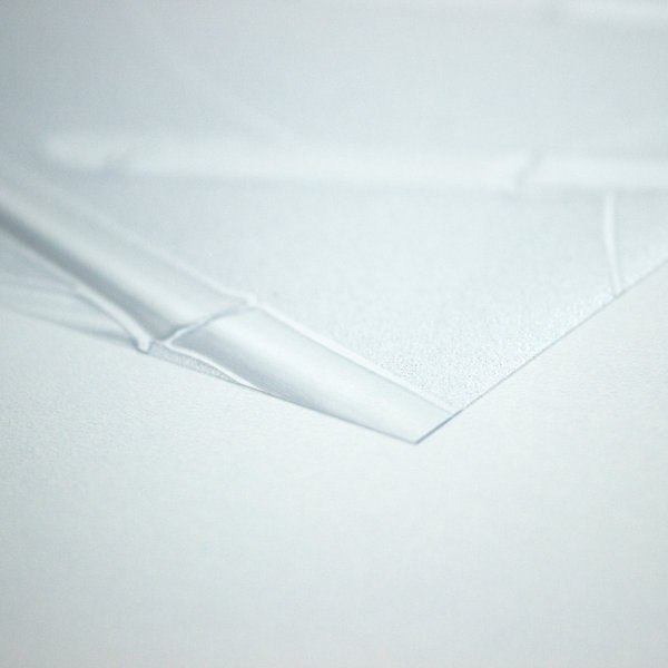 Room Mates Bamboo Privacy Window Decal & Reviews | Wayfair