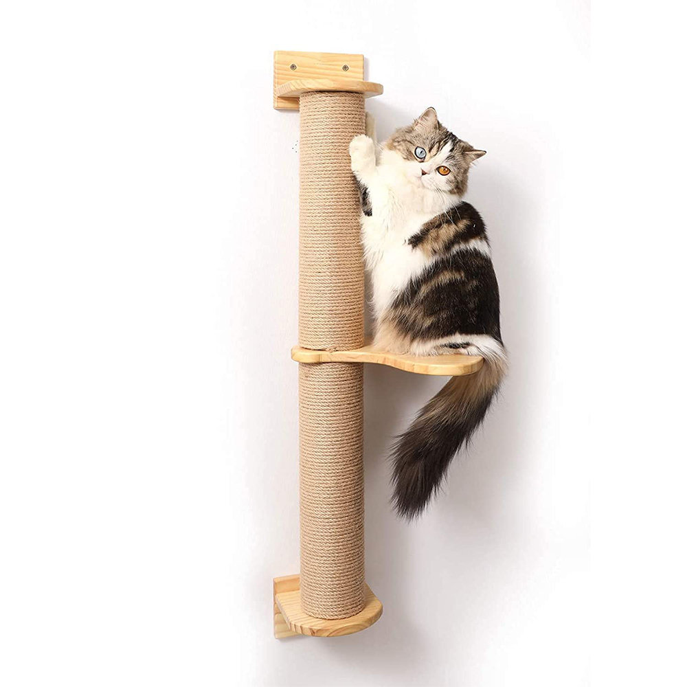 Tucker Murphy Pet™ Grattoir et poteau à griffer Daijana - Wayfair Canada