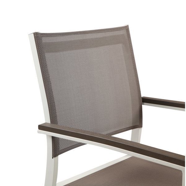 Wade Logan® Pangea Home Aynura Modern Outdoor Aluminum Dining Chairs ...