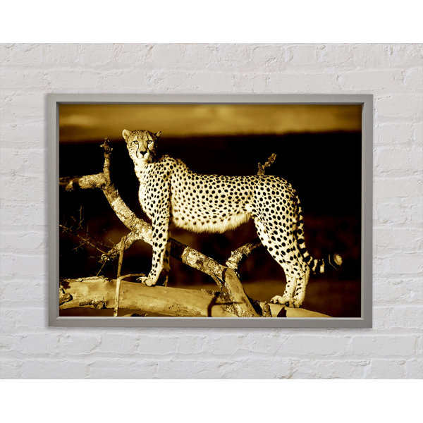Bright Star Leopard Perch Sepia - Single Picture Frame Art Prints on ...