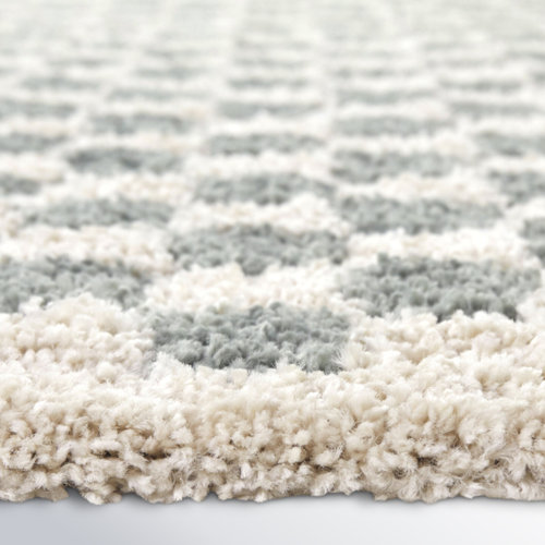 AllModern Walker Checkered Sage/Cream Shag Area Rug & Reviews | Wayfair