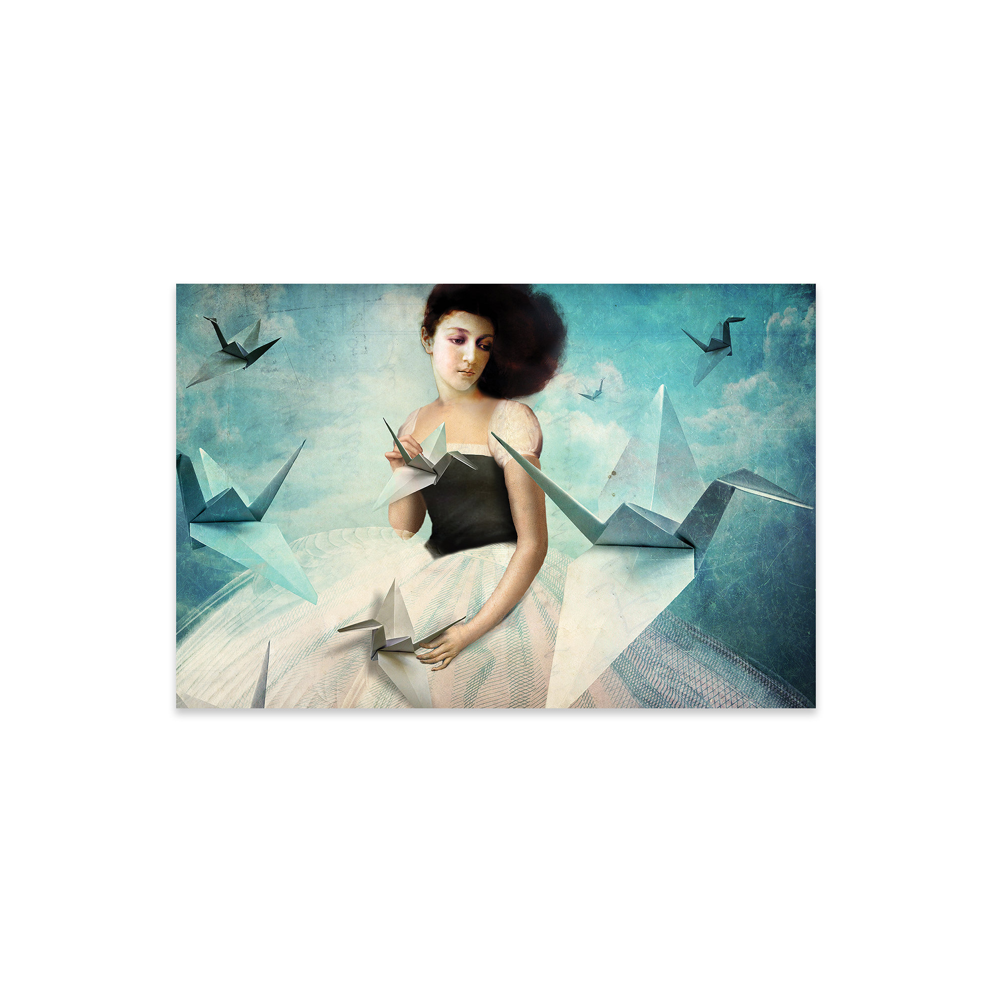 Mercer41 My First Origami Crane On Plastic / Acrylic by Catrin Welz ...