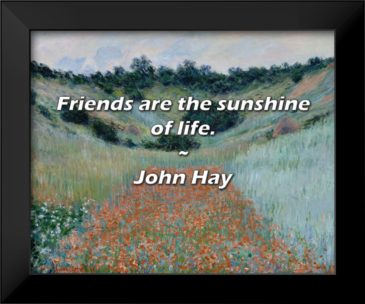 Latitude Run® John Hay Quote: Friends are the sunshine of life. | Wayfair