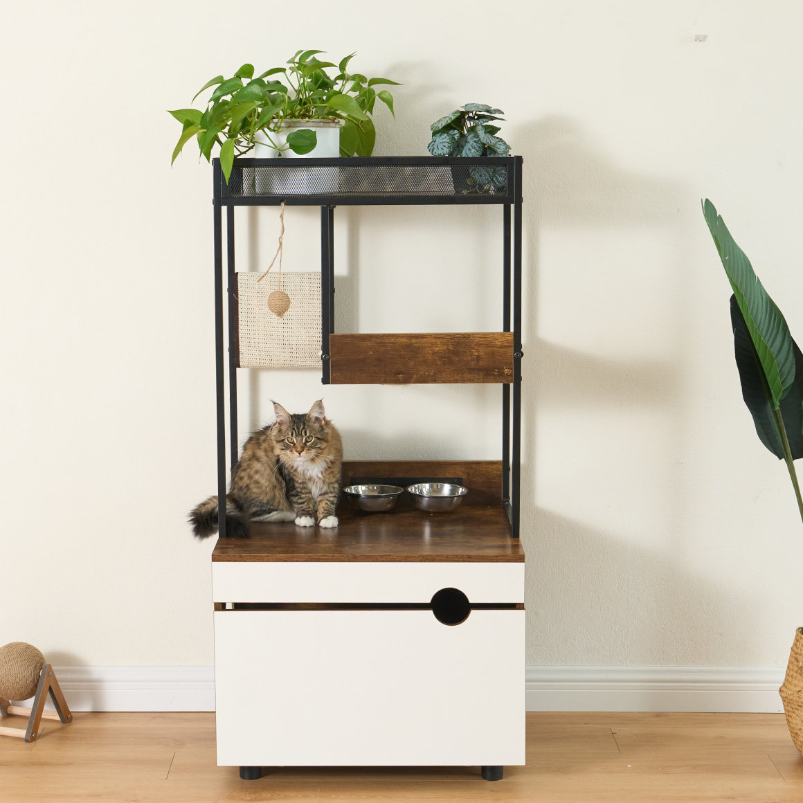 Latitude Run® Cat Litter Box Enclosures With Cat Tree Tower, Cat ...