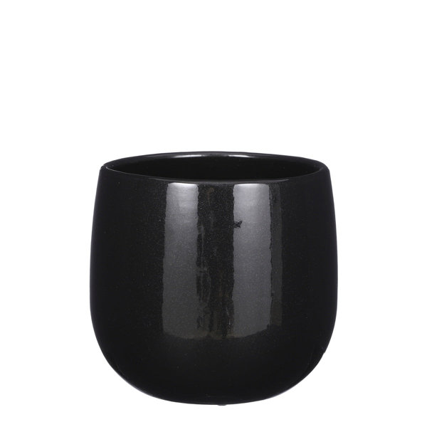 17 Stories Flower pot Cannen | Wayfair.co.uk