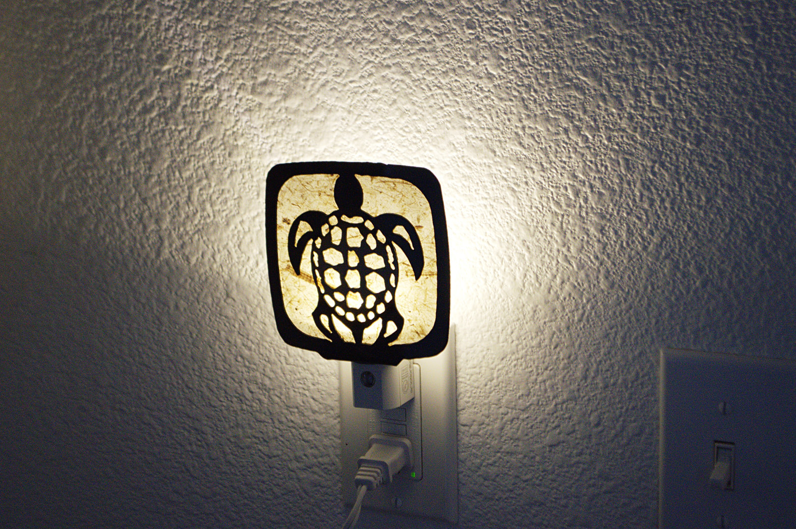 Bay Isle Home™ SHELL BACK SEA TURTLE NIGHT LIGHT | Wayfair