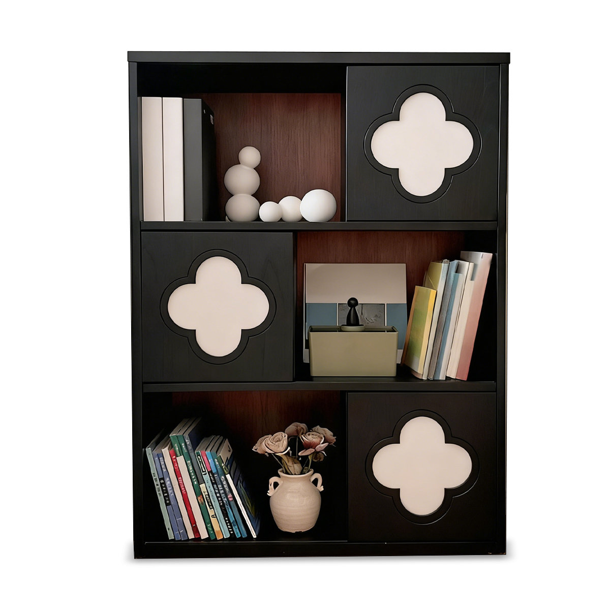 HAMLIM White + Black + Brown Conch + Solid Wood Display Cases | Wayfair