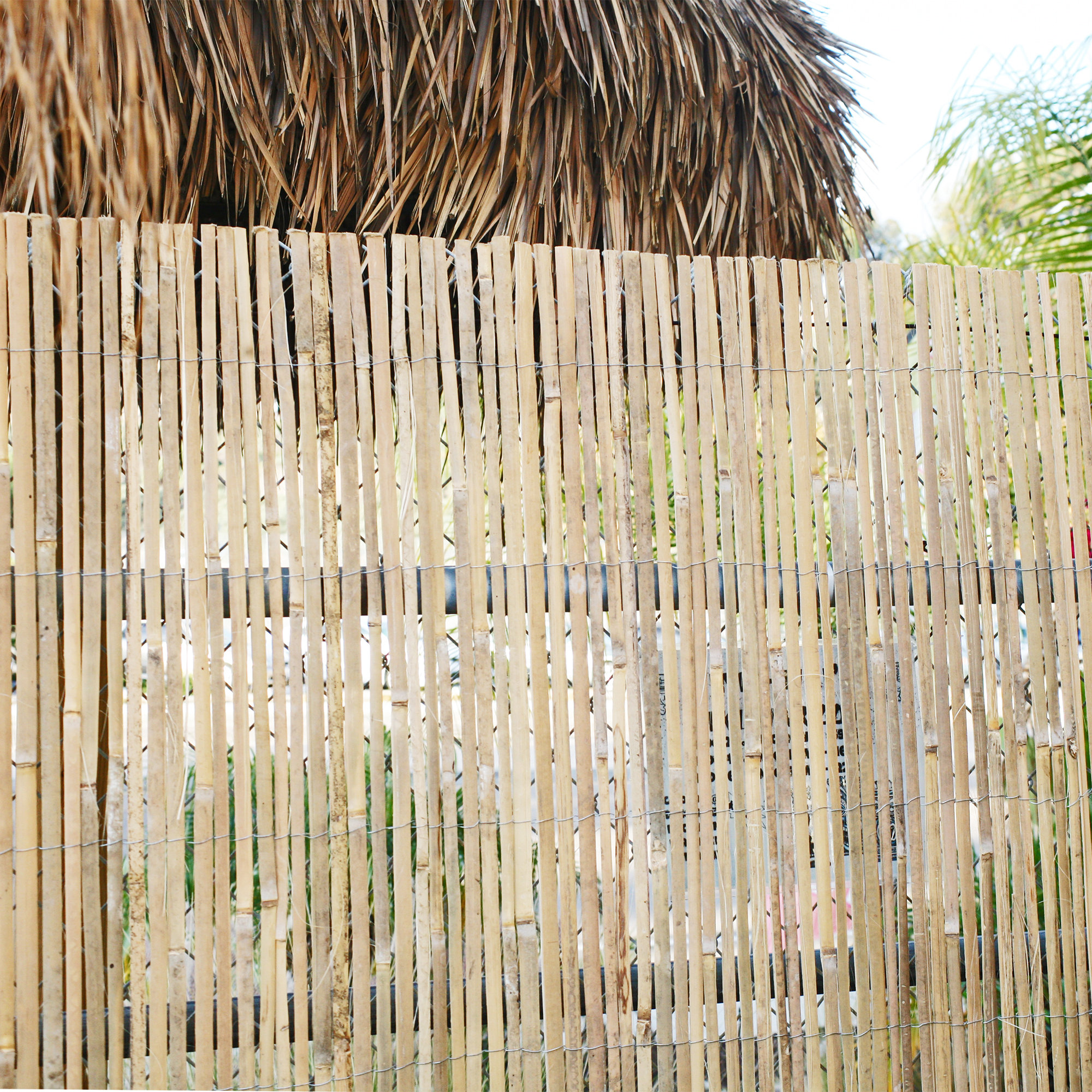 Backyard X-Scapes 6 ft. H x 16 ft. W Bamboo Fence Panel & Reviews ...