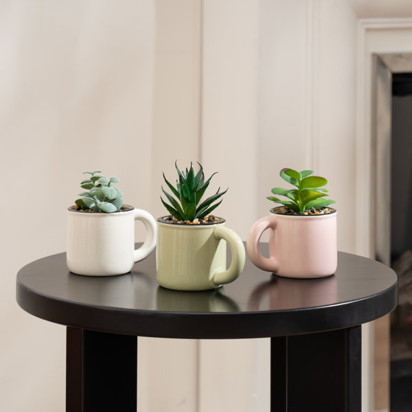 World Menagerie Faux Succulent Cups | Wayfair.co.uk