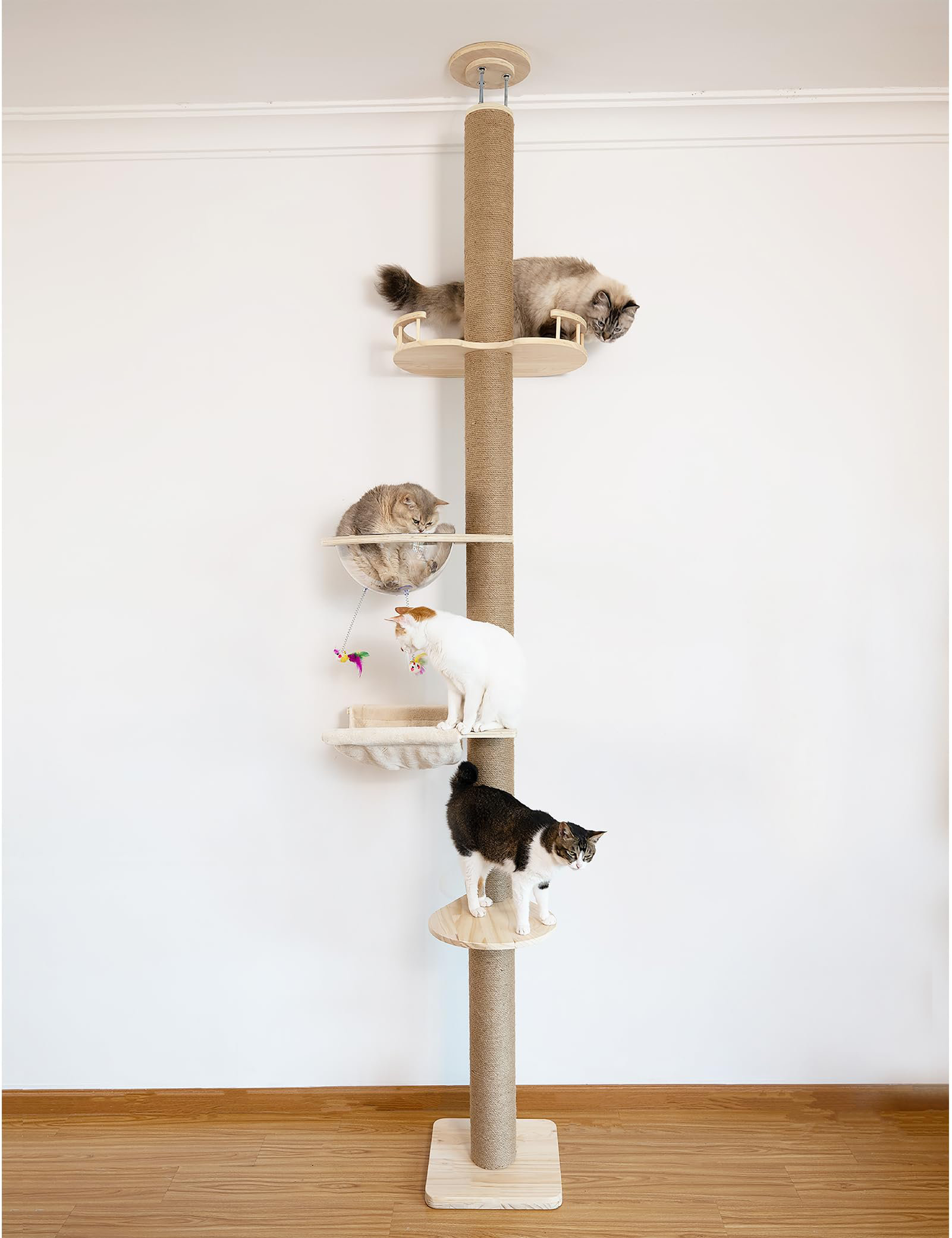COAHAHA Adjustable Floor-To-Ceiling Cat Tree, Multi-Storey Scratching ...