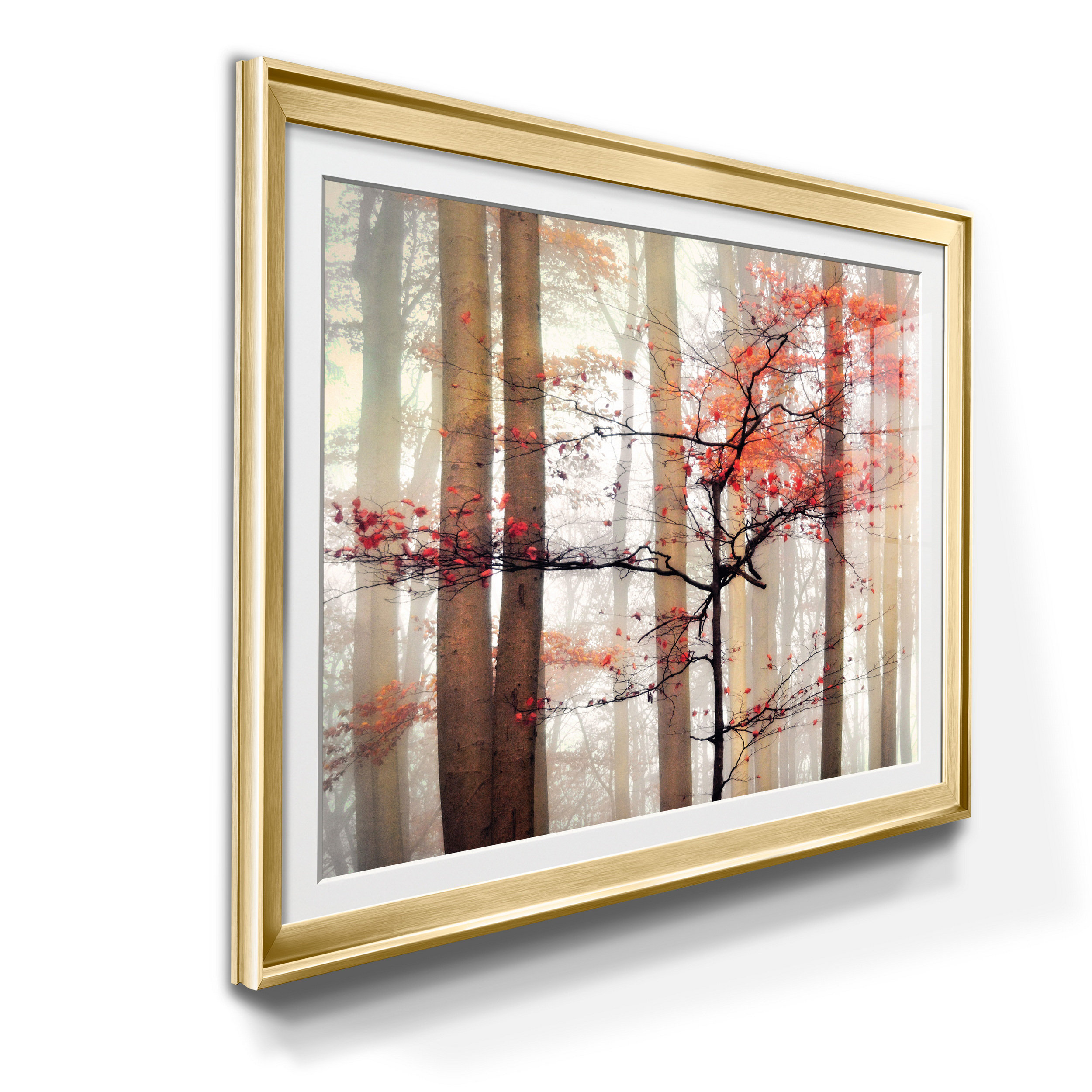 Millwood Pines Awakening - Picture Frame Graphic Art Print on Paper ...