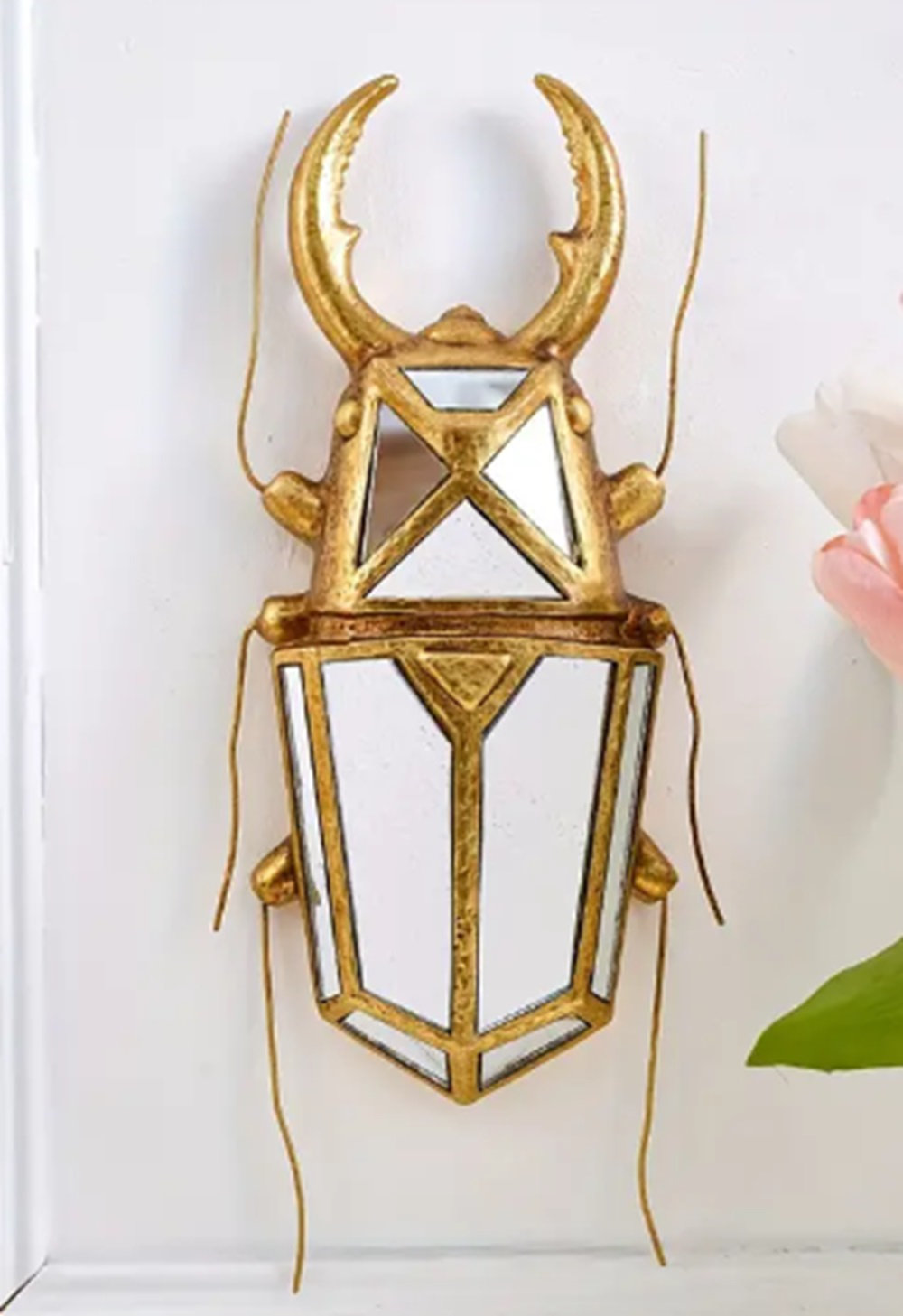 House of Hampton® Pincher Bug Beetle Mirror Glam Safari Gallery Wall ...