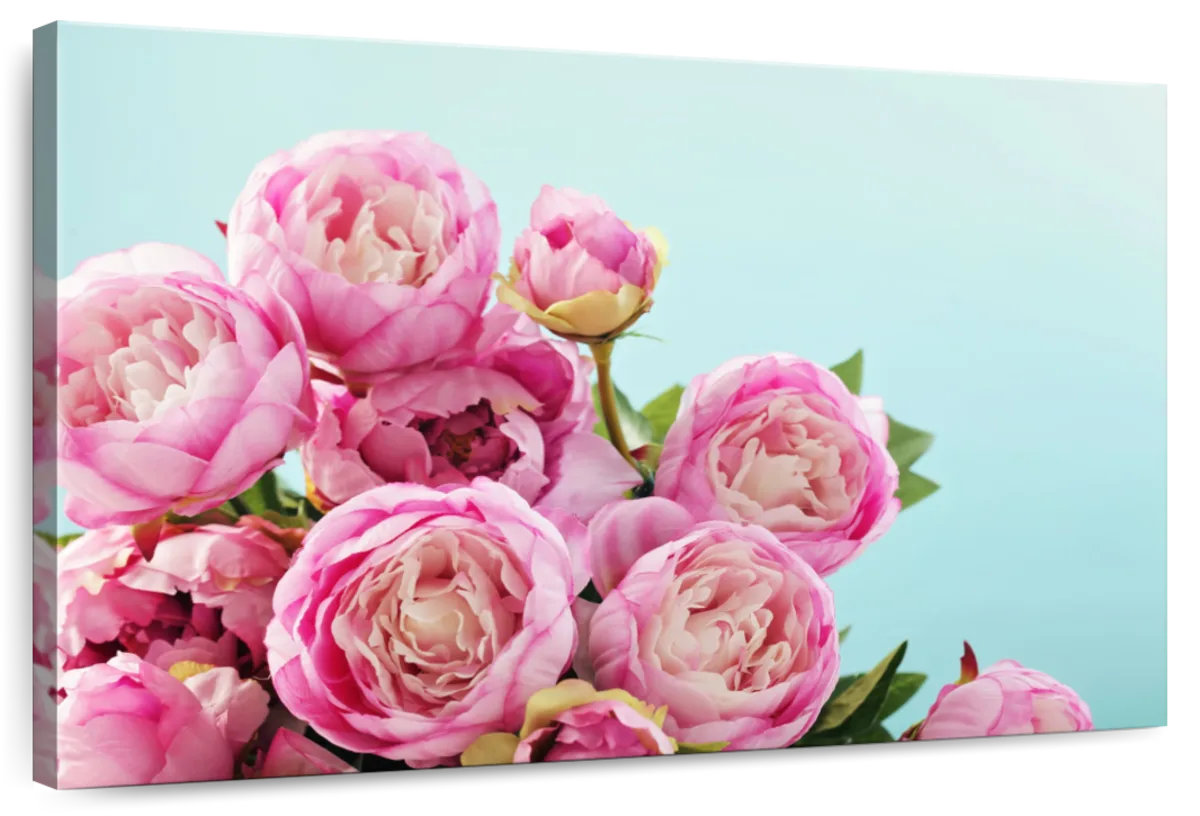 Lark Manor™ Harnek Pink Peony Flowers | Wayfair