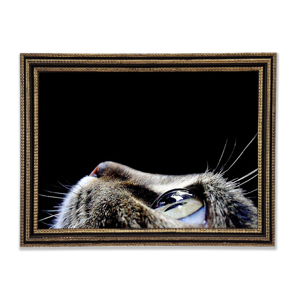 Ebern Designs Cat Eyes - Print | Wayfair.co.uk