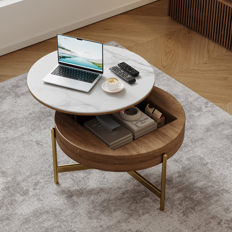 Brayden Studio® Caeleb Modern Round Lift-Top Coffee Table with Storage ...