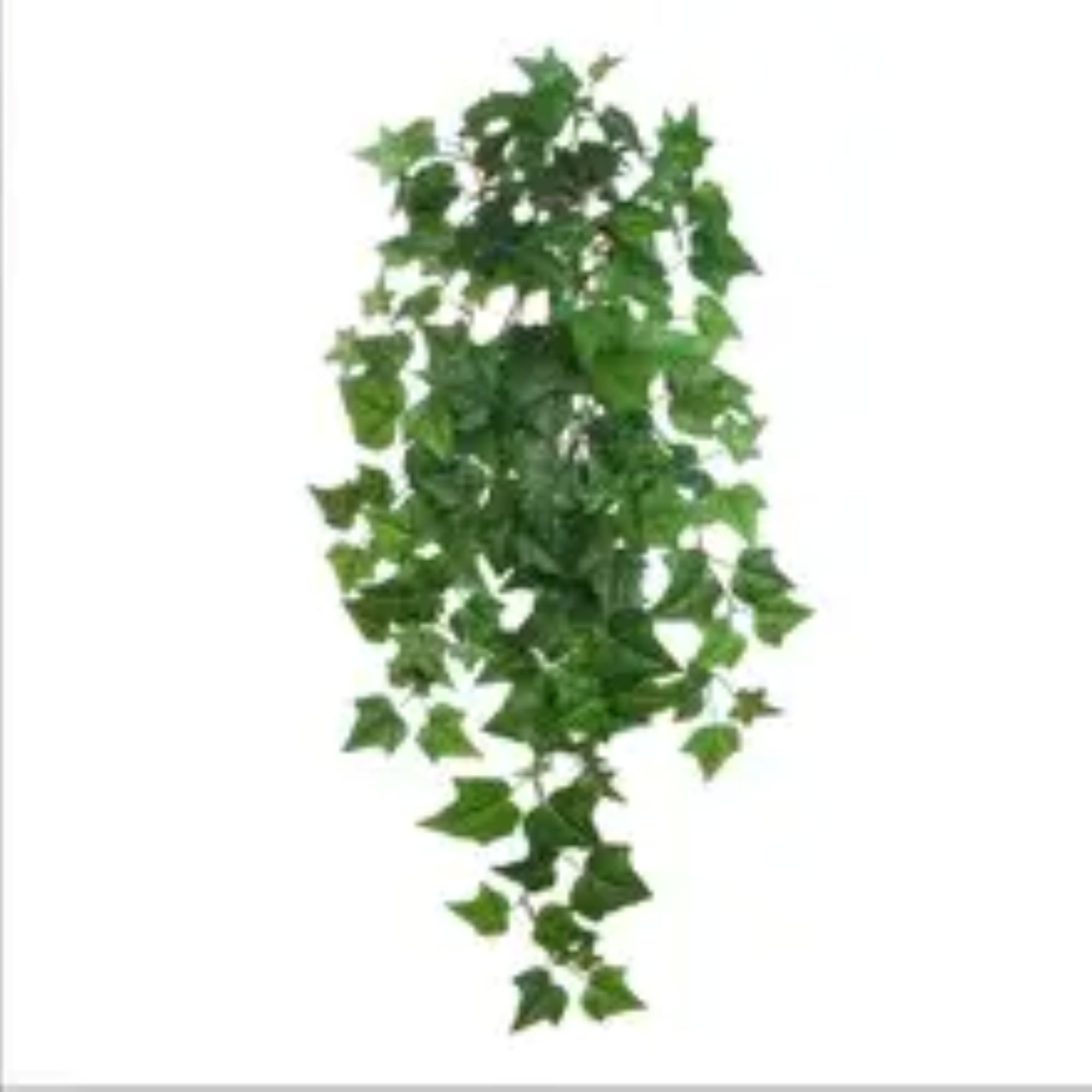 Alcott Hill® English Ivy Bush W/ 157 Silk Leaves - 33" Long - 2 Pack ...