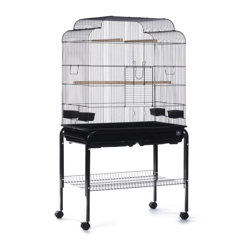 Tucker Murphy Pet™ Chule Universal Bird Cage with Stand & Reviews | Wayfair