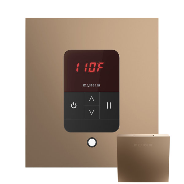 Mr. Steam Basic Butler Steam Shower Control Package with Square iTempo ...