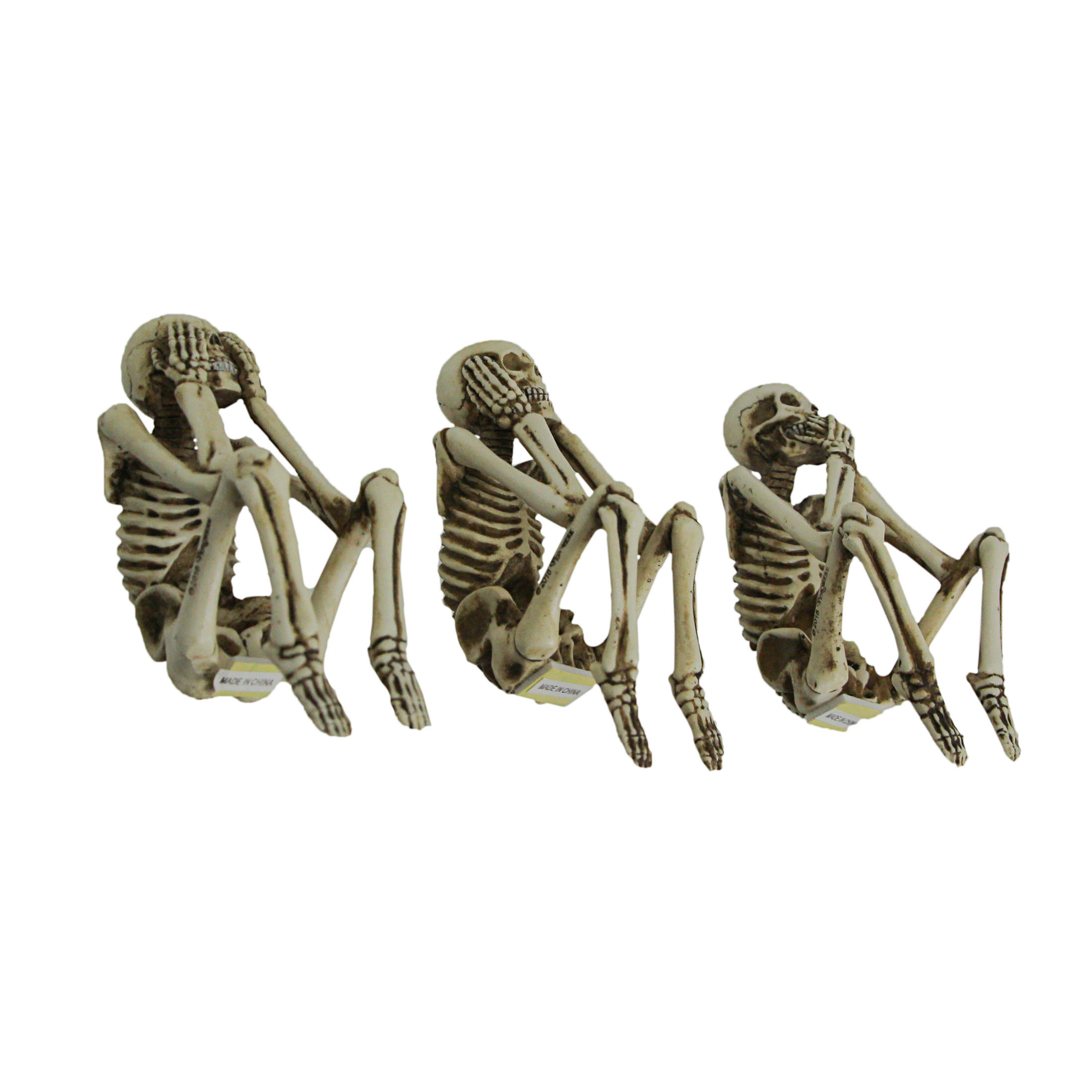 Trinx Dreden Skeleton Statue | Wayfair