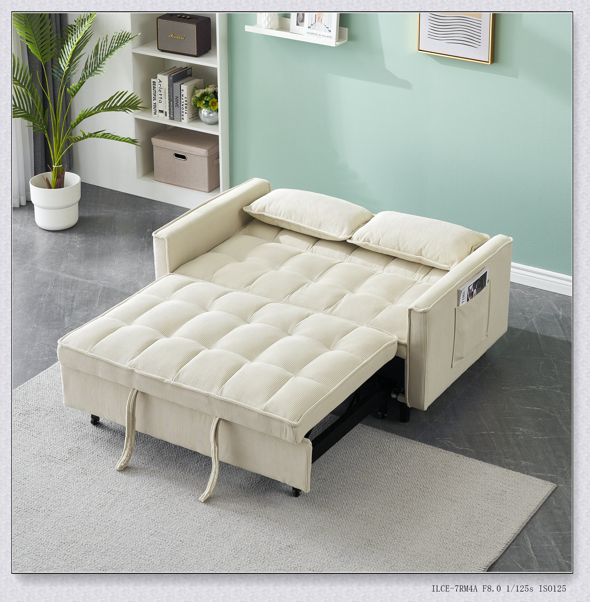 Latitude Run® Folding Sofa Bed, Adjustable Back, Access Sofa, Recliner ...