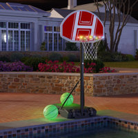 OXYGIE Swimming Pool Basketball Hoop with LED Light | Wayfair