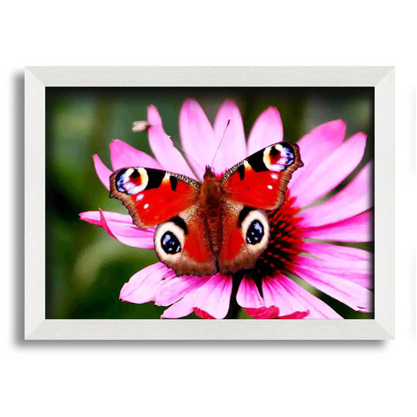 Brambly Cottage Eara Symmetrical Butterfly - Single Picture Frame Art ...