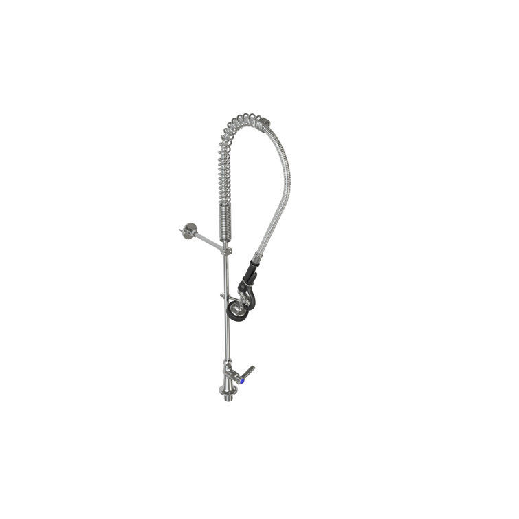 Tarrison Single Hole Deck Mount Pre Rinse Unit | Wayfair
