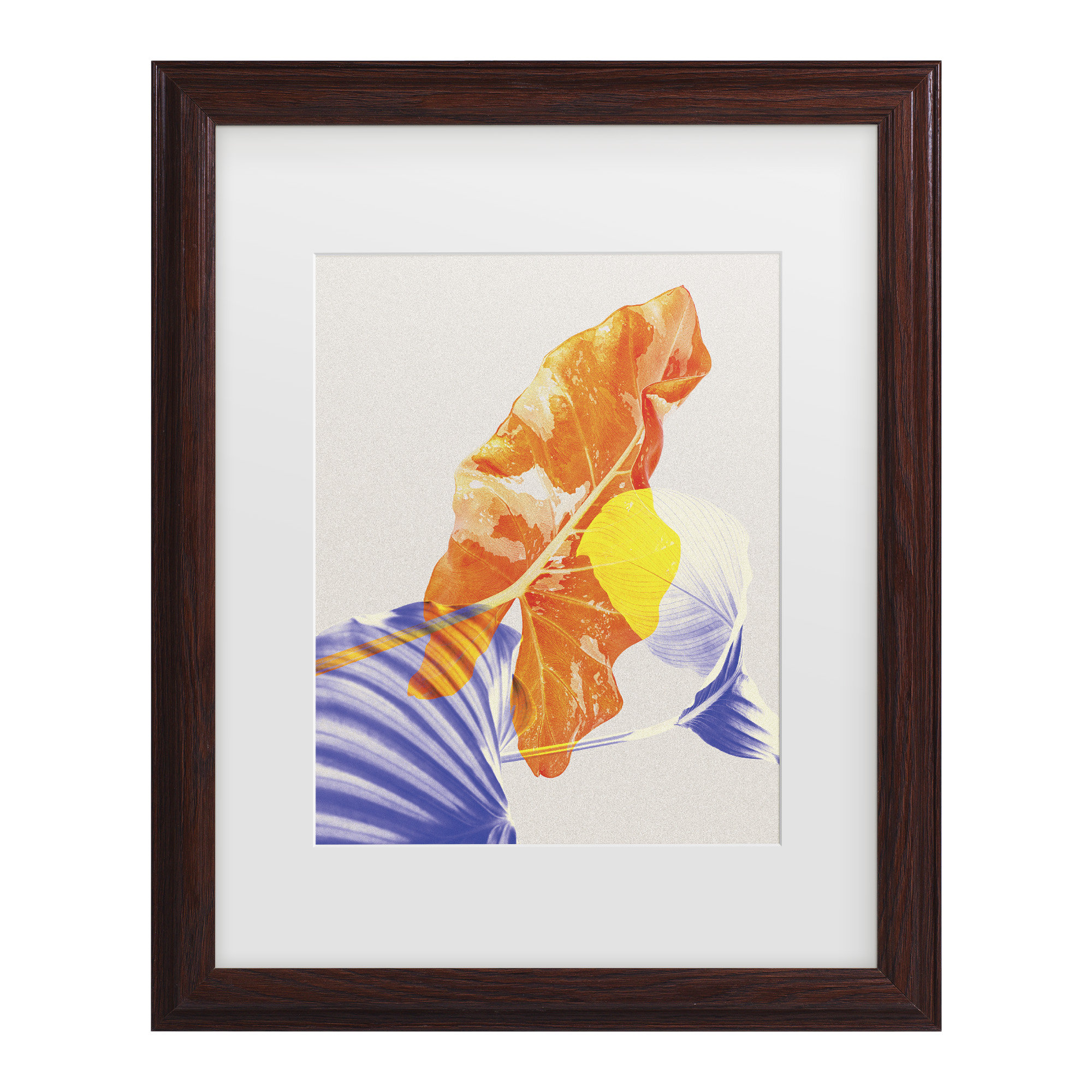Ebern Designs Bolog Incado Colored Leaves Matted Framed Art | Wayfair