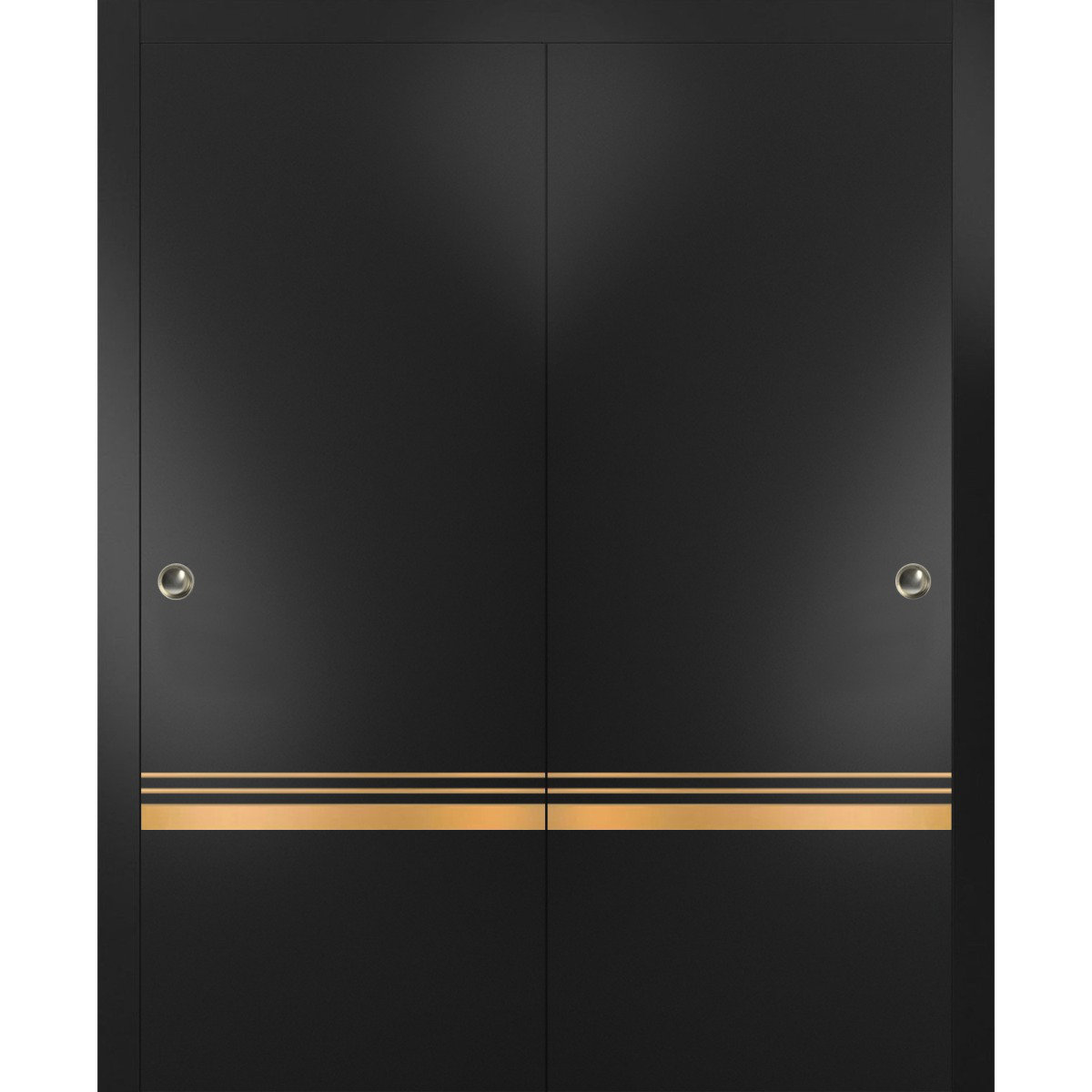 SARTODOORS Paneled Wood Finish Sliding Closet Doors | Wayfair