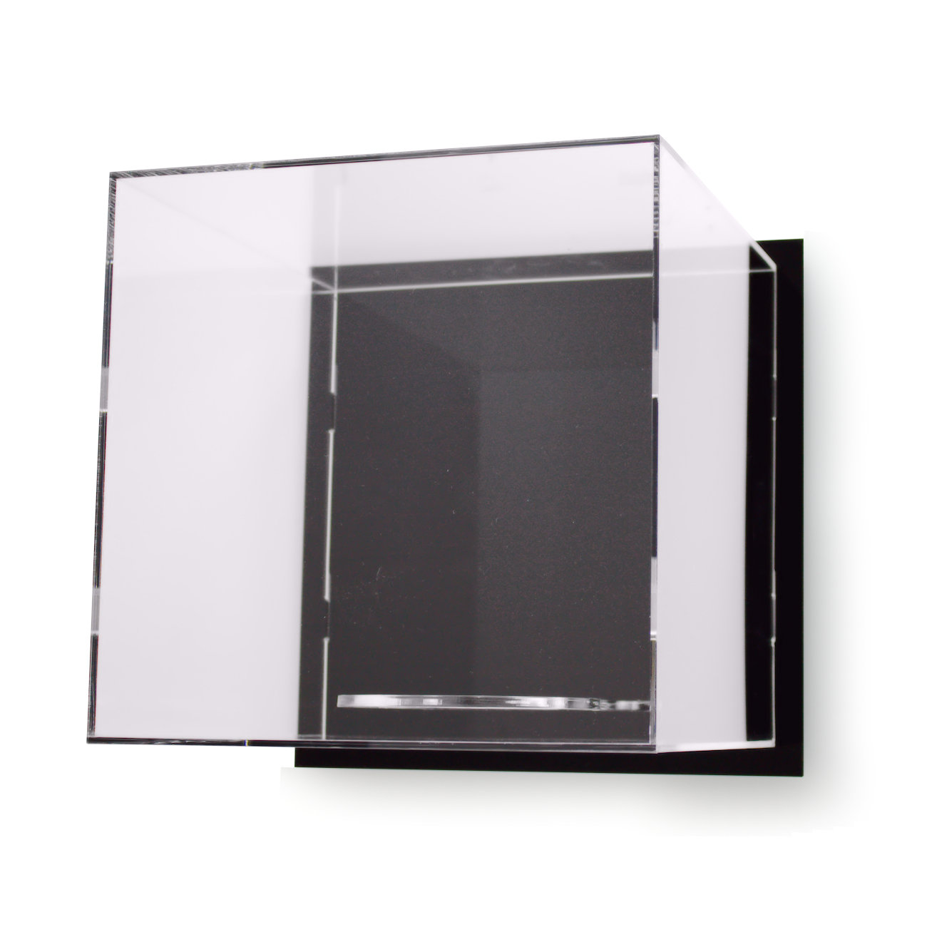 Tielo Wall Mounted Football Display Case | Wayfair.co.uk