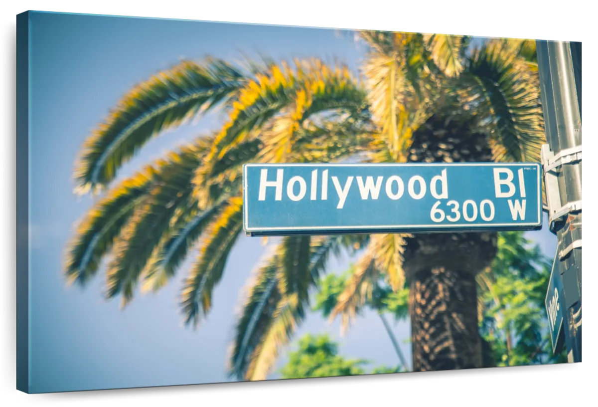 Elephant Stock Hollywood Street Sign | Wayfair