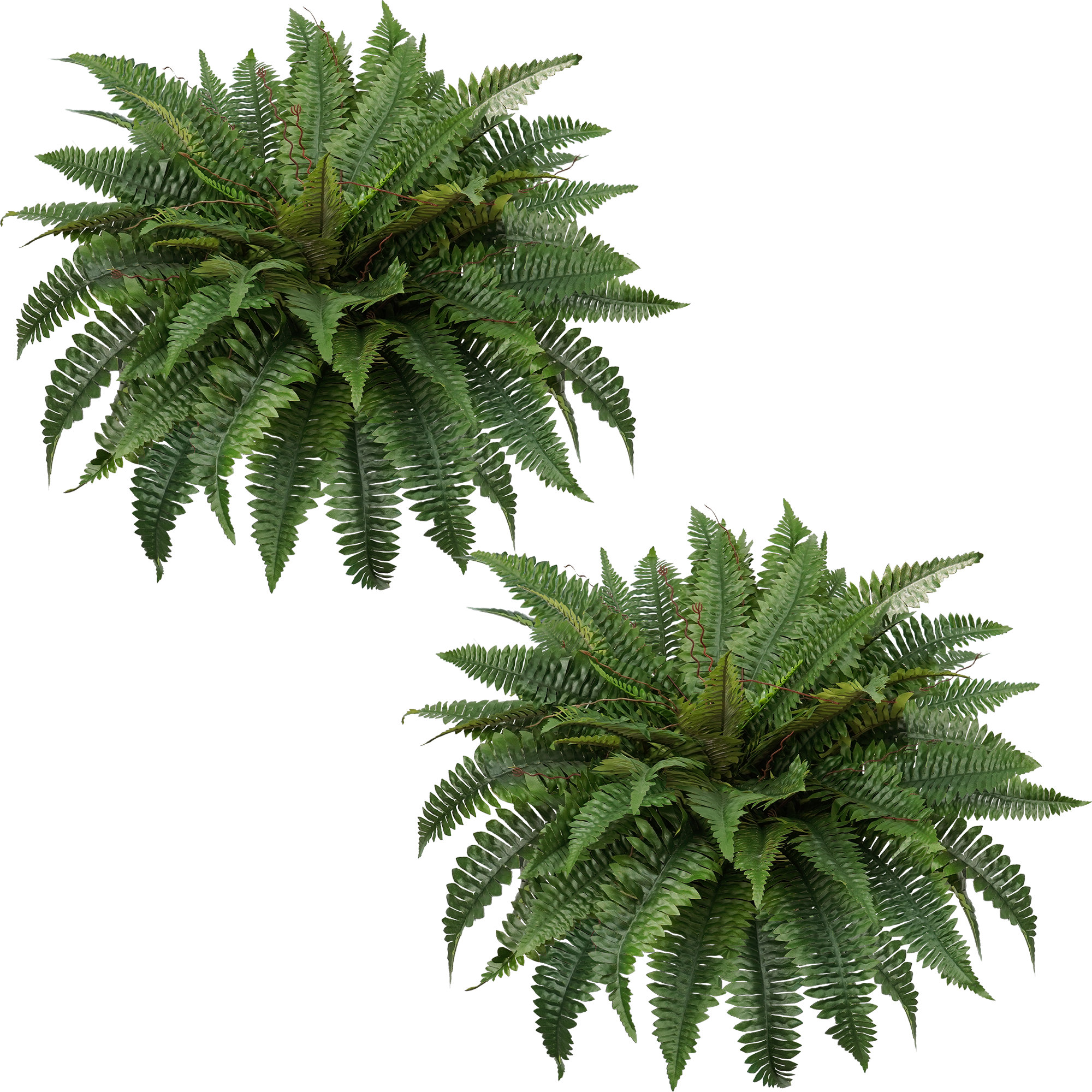 Vitalismo Fake Boston Ferns,Artificial Fern for Home, Office, Garden ...