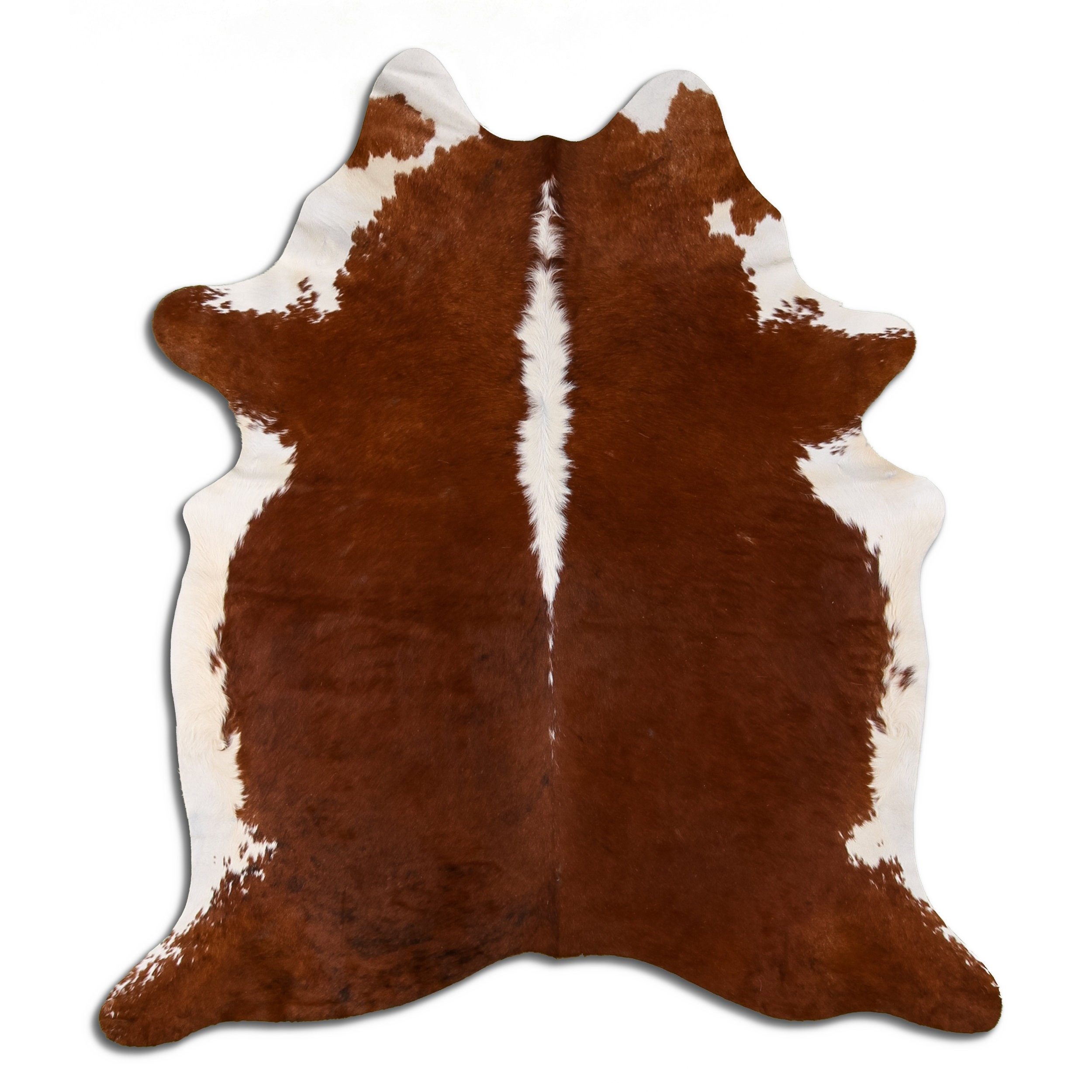 Union Rustic Dupras Animal Print Handmade Cowhide Brown Area Rug ...
