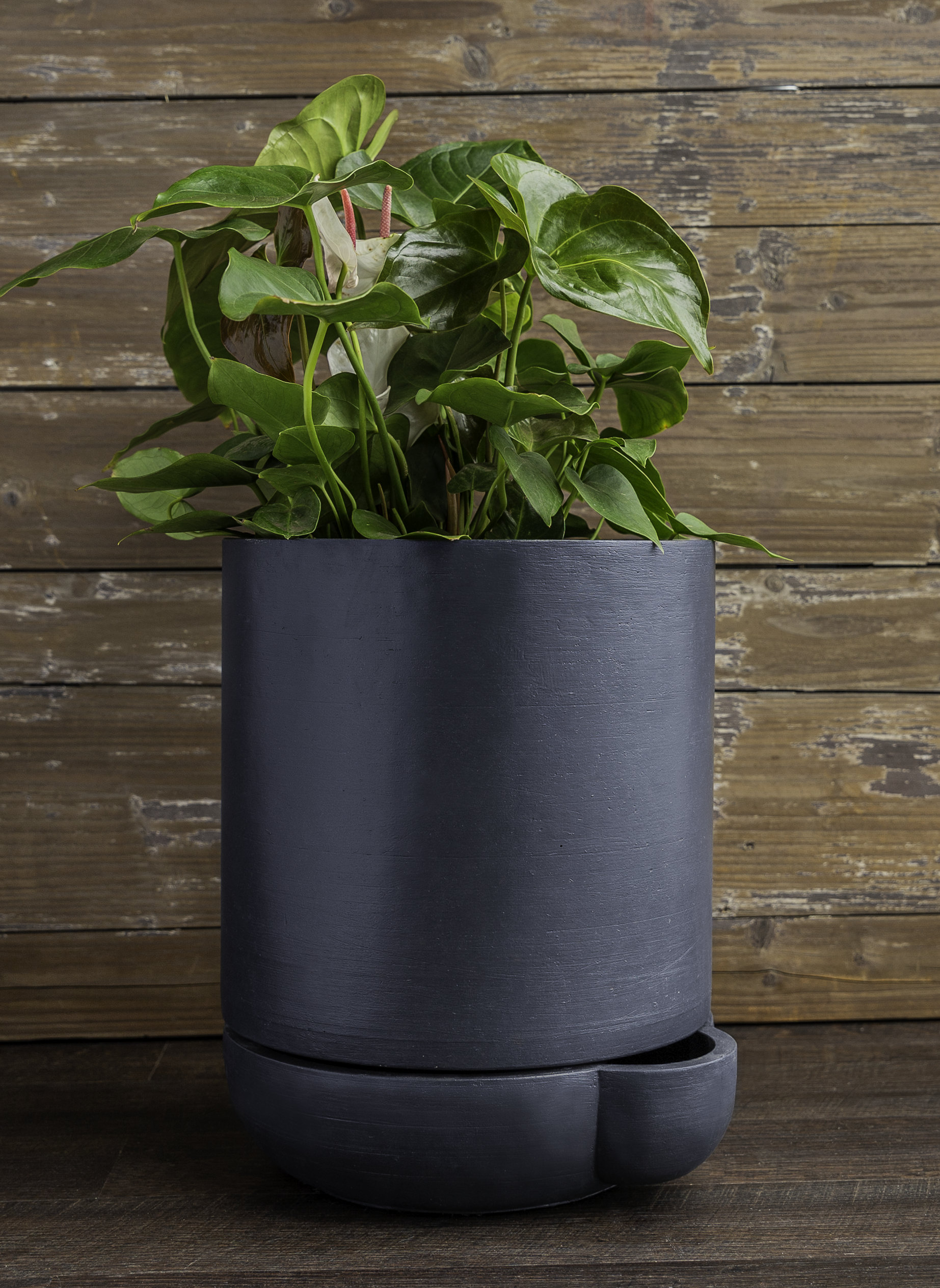 Campania International The Simple Pot Self Watering Cast Stone Pot ...