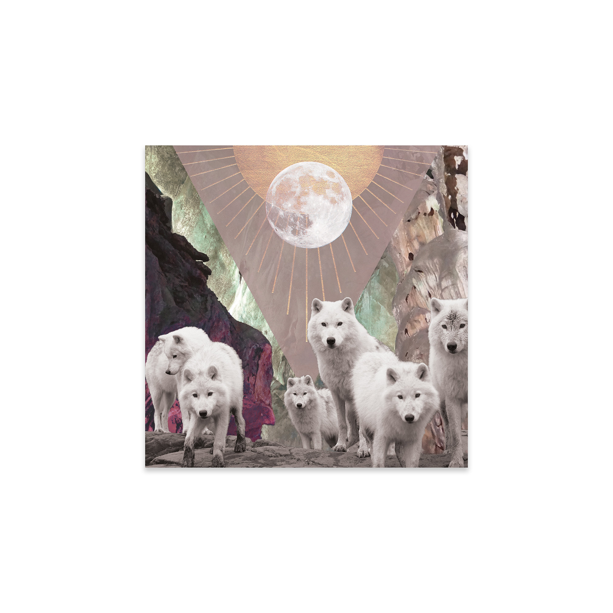 Millwood Pines She Runs With The Wolves On Plastic/Acrylic by Midnight ...